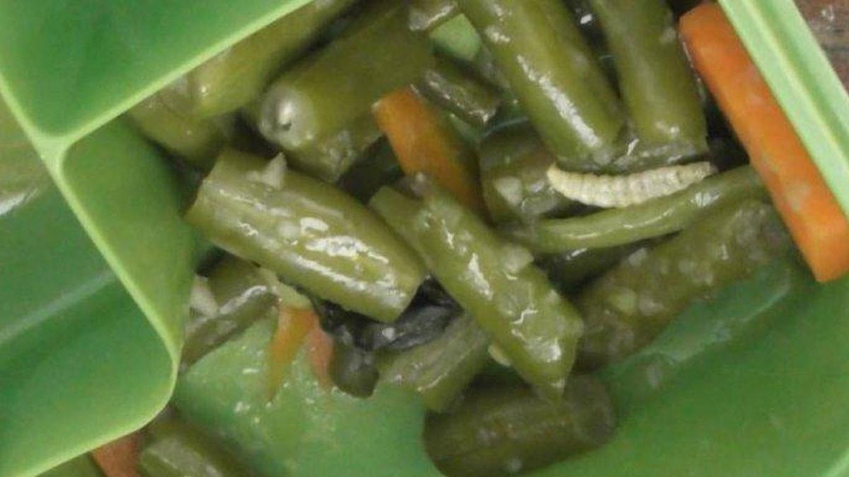 'Mual, Muntah, Sakit Perut' 4 Kasus Ulat & Belatung di MBG Siswa Sekolah, Ulat Ada yang Masih ...