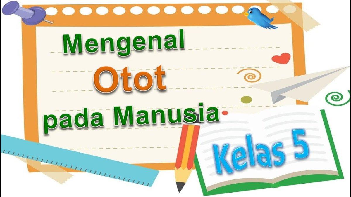 Apa itu otot Manusia? Penjelasan Fungsi dan Jenisnya, Materi IPA Kelas ...