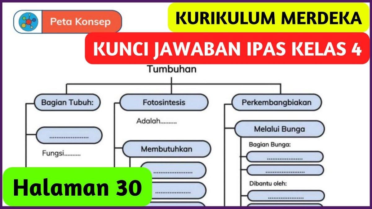 Soal & Kunci Jawaban IPAS Kelas Kelas 4 SD Halaman 30 : Bagian Tumbuhan ...