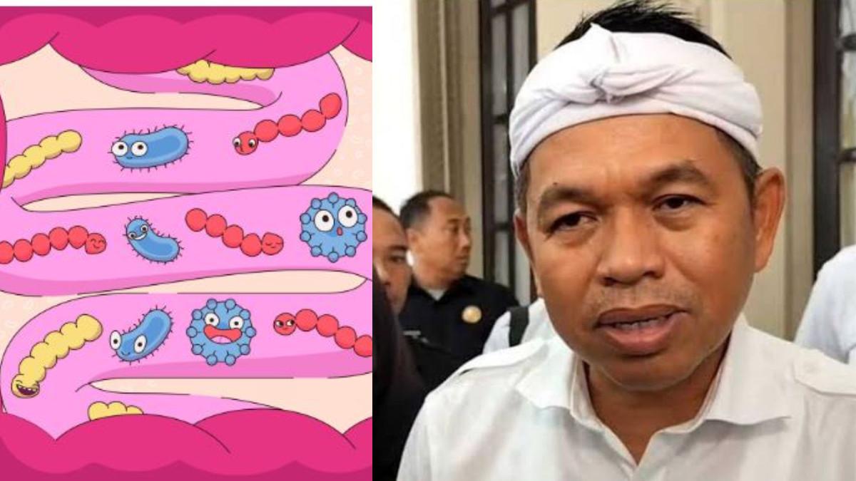 Kisah Pilu Raya, Balita Sukabumi yang Meninggal Usai Tubuhnya Dipenuhi Ribuan Cacing Lebih dari ...