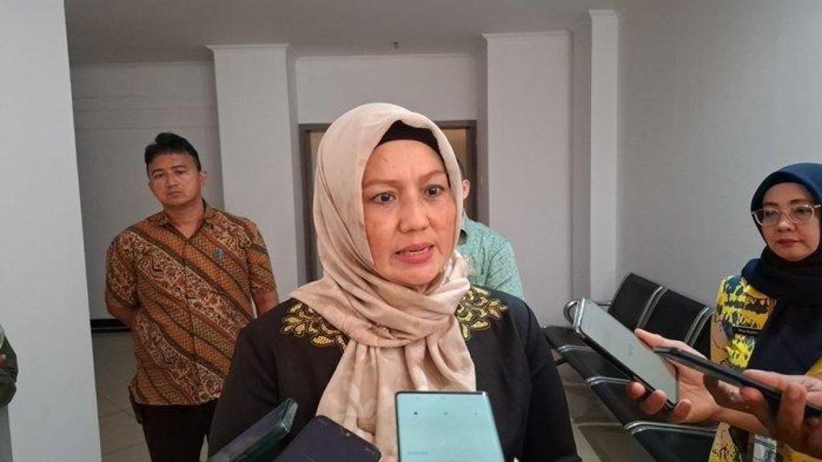 Profil Hellyana, Wagub Bangka Belitung Jadi Tersangka Penipuan, Tak ...