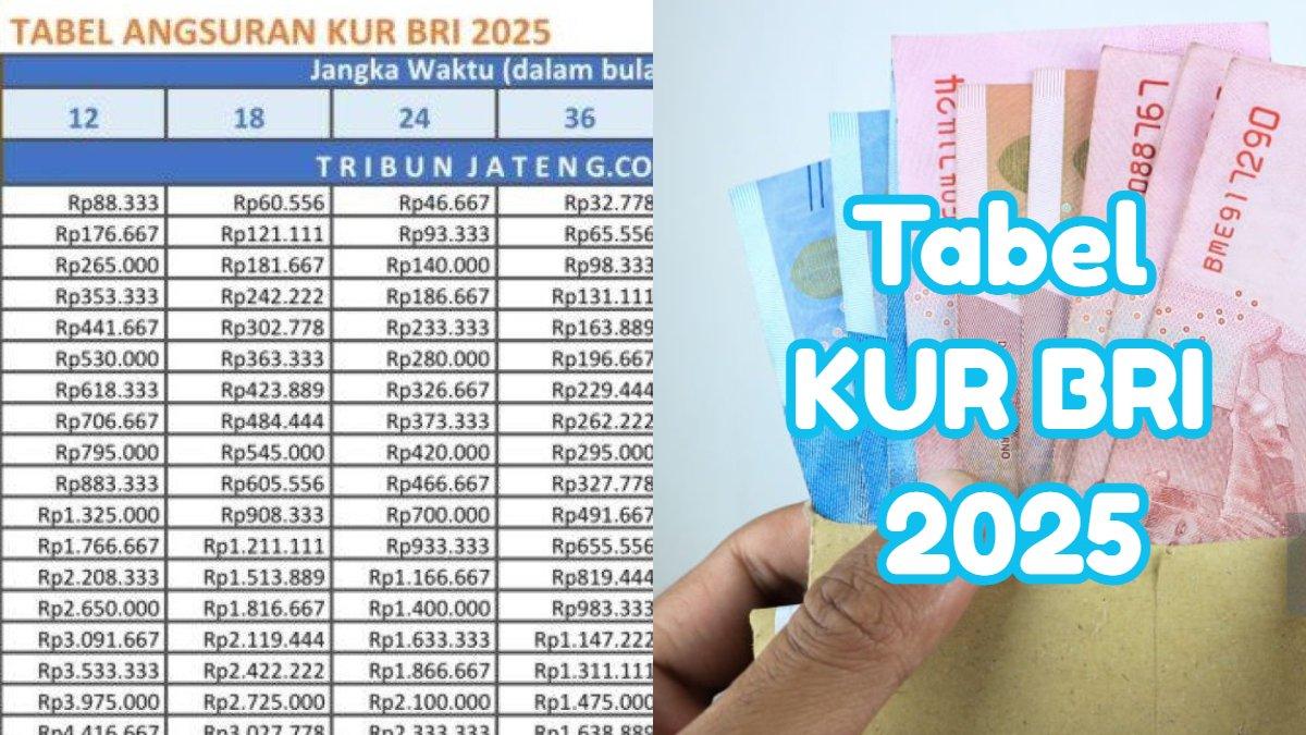 Tabel KUR BRI 2025, Cek Angsuran Tertinggi & Terendah Pinjam Rp40 Juta, Ini Cara Ajukan Langsung ...