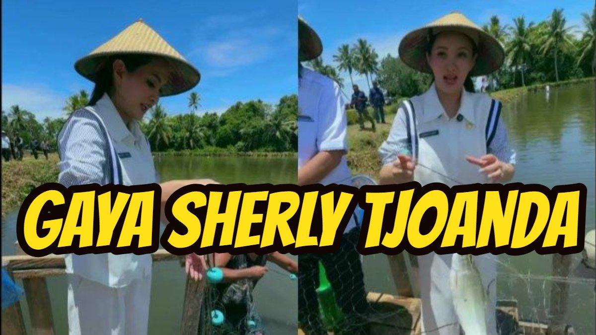 Gaya Sherly Tjoanda Pertama Kali Panen Bandeng di Halmahera Barat ...