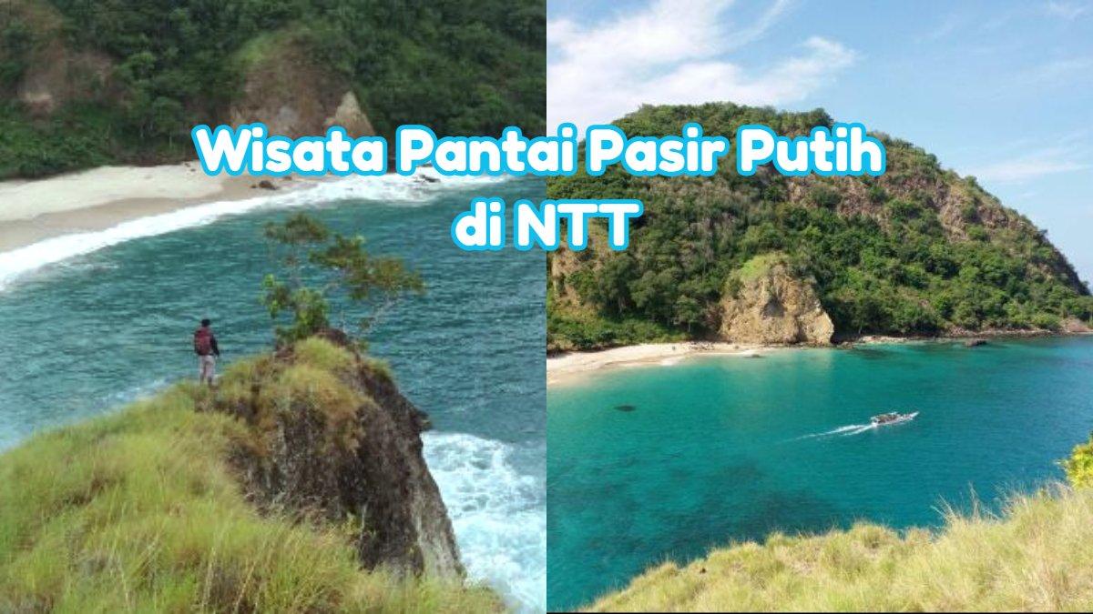 Sikka NTT Punya Wisata Pantai Pasir Putih Bersih, Air Lautnya Jernih ...