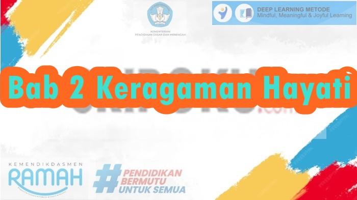 CONTOH Modul Ajar Deep Learning Geografi Kelas 11 SMA, Bab 2 Keragaman ...