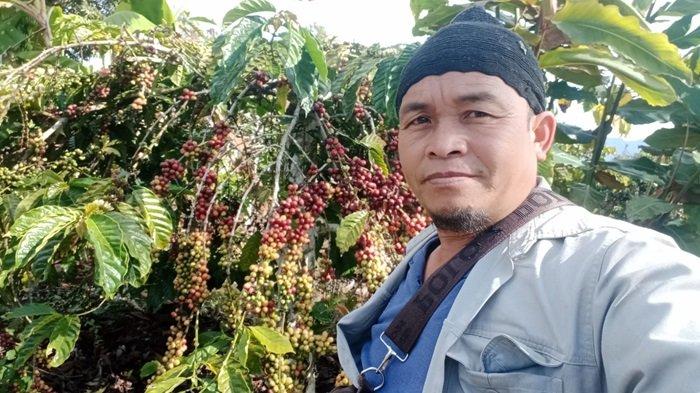 Sumsel Juaranya dari 10 Provinsi Penghasil Kopi Terbesar di Indonesia ...