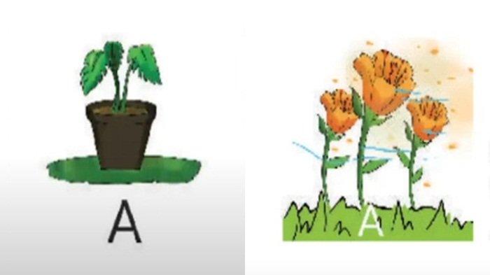 Kunci Jawaban Soal IPAS Kelas 4 SD Halaman 31-32 Semester 1 Kurikulum Merdeka, Uji Pemahaman ...