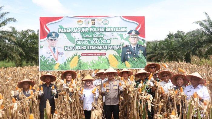 Wujudkan Ketahanan Pangan, Kementan Bersama Polri Lakukan Panen Raya Jagung - Sripoku.com
