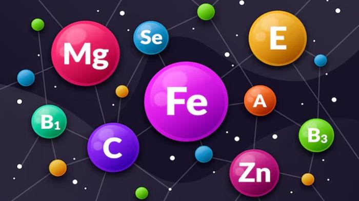 Asesmen Individu Biologi Kelas 12 SMA Materi Enzim dan Metabolisme ...