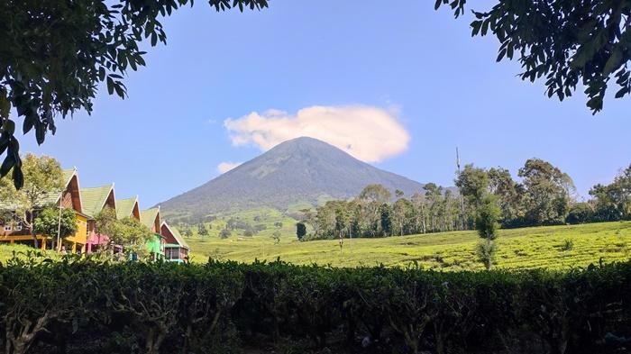 Profil Gunung Dempo Pagar Alam, Salah Satu Gunung Api Aktif di ...