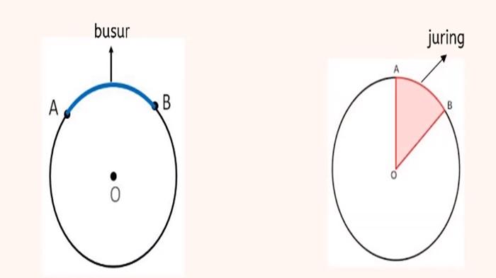 Soal Matematika serta Jawaban Kelas 6 SD Kurikulum Merdeka, Panjang ...