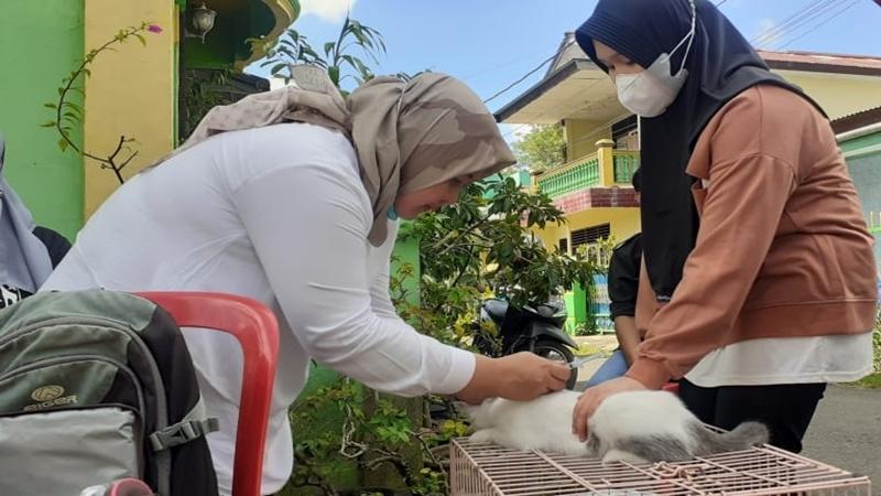 Di Pagaralam Ada Daging Kucing Dijual Seakan-akan Daging Kambing, yang ...