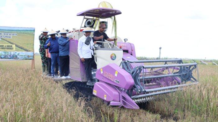 Pemerintah Terbitkan HGU 328 Ribu Hektar untuk Cetak Sawah di Papua ...