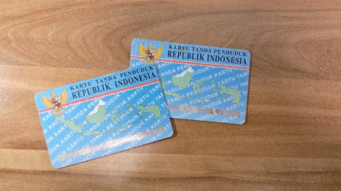 Cara Cek KTP dan KK Secara Online Lewat Aplikasi IKD - Tribun-papua.com