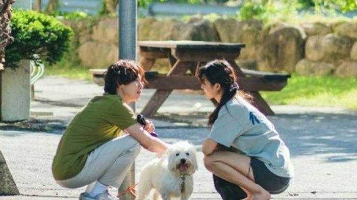 Jadwal Tayang hingga Sinopsis Drakor Summer Strike, Dibintangi Im Si ...