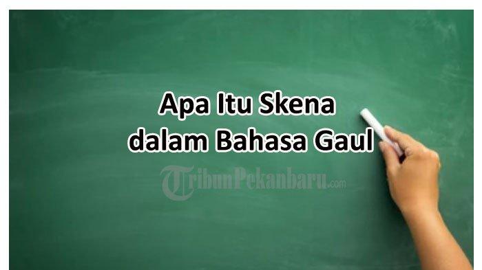 Apa Itu Skena Dalam Bahasa Gaul? Ternyata Sebuah Singkatan Viral di Tiktok - Tribunpekanbaru.com