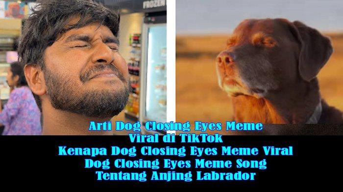 Arti Dog Closing Eyes Meme yang Viral di TikTok, Kenapa Viral, Song dan ...