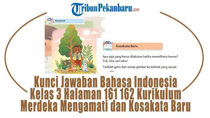 Kunci Jawaban Bahasa Indonesia Kelas 3 Halaman 161 162 Kurikulum Merdeka Mengamati dan Kosakata ...