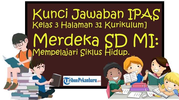Kunci Jawaban Halaman 31 Mapel IPAS Kelas 3 SD/MI Kurikulum Merdeka ...