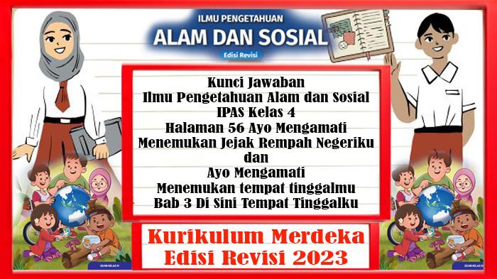 Kunci Jawaban IPAS Kelas 4 Halaman 56 Ayo Mengamati Bab 3 Kurikulum Merdeka Edisi Revisi 2023 ...