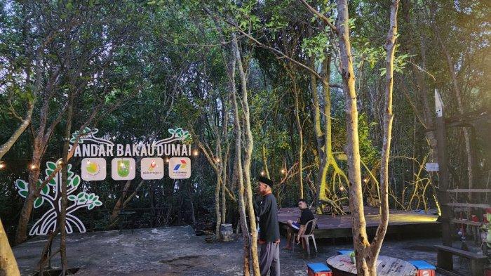 Menikmati Keindahan Mangrove di Edu-ekowisata Bandar Bakau Dumai ...