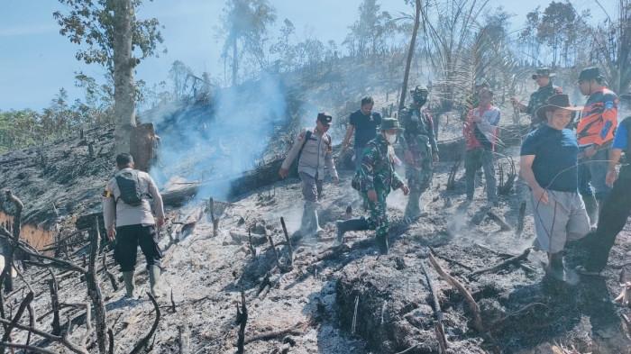 Polisi Mulai Selidiki Penyebab Kebakaran di Bukit Lumut Rohul ...