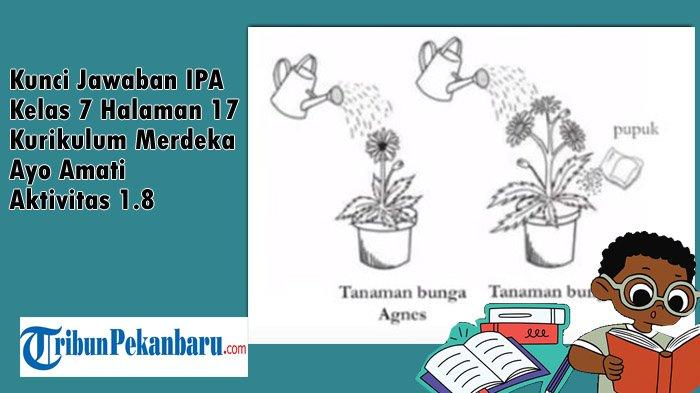 Kunci Jawaban IPA Kelas 7 Halaman 17 Ayo Berkreasi Aktivitas 1.7 ...