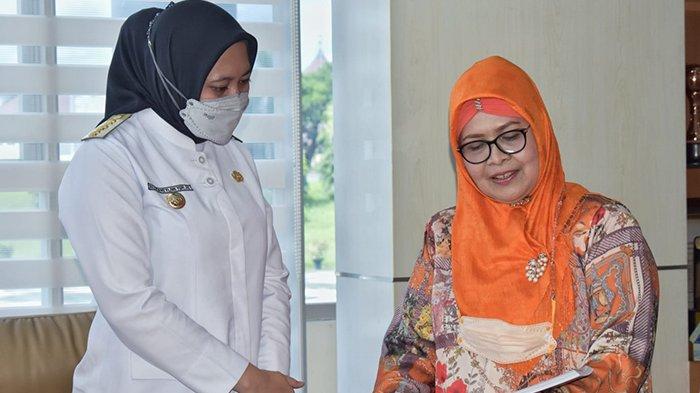 Pusdatin Puanri Dipimpin Septina Primawati Audensi dengan Bupati Inhu ...