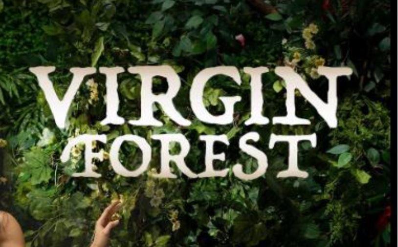 Review Lengkap Film Filipina Virgin Forest yang Dibintangi Angeli Khang ...