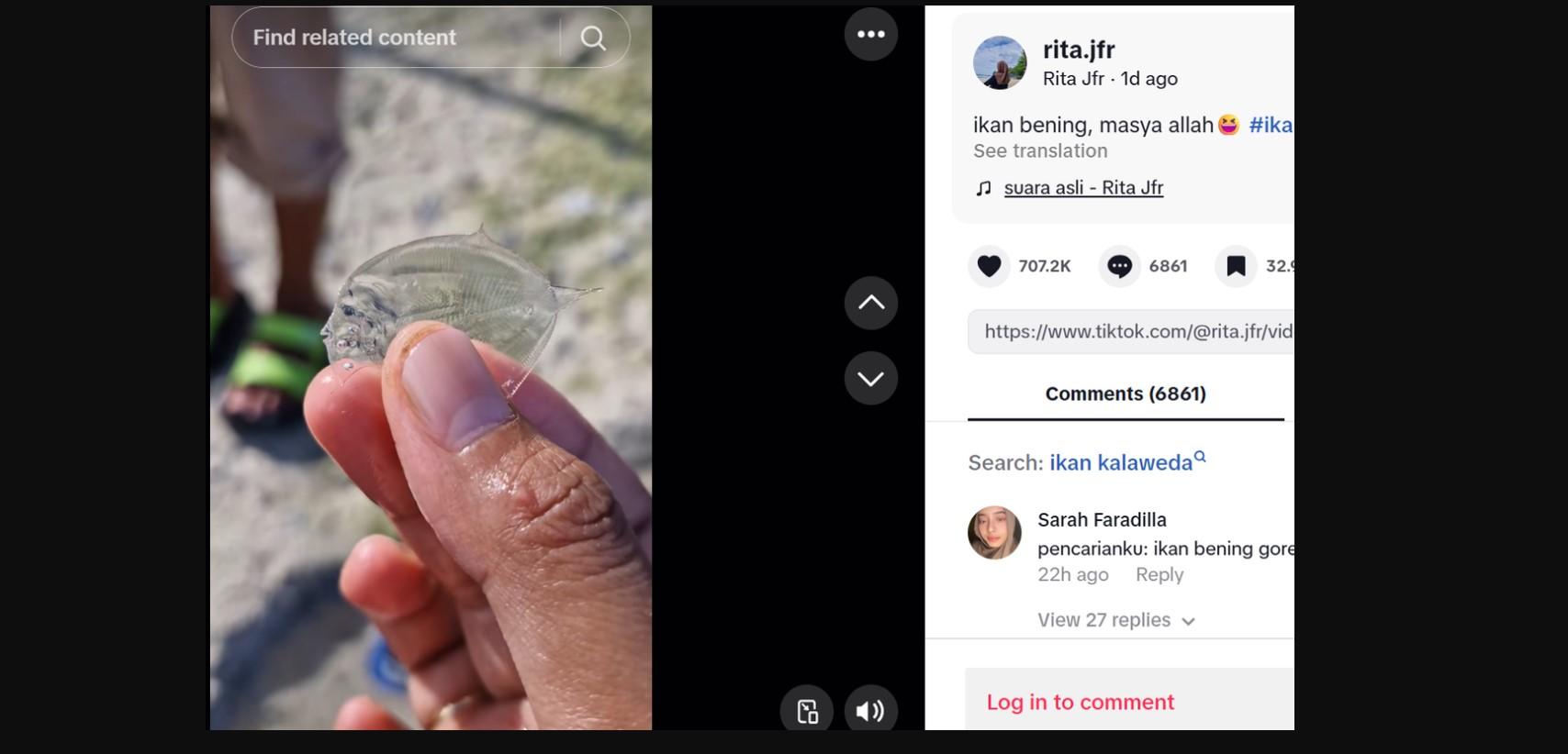 FAKTA-FAKTA Ikan Bening Transparan yang Viral di Medsos: Dosen UGM ...