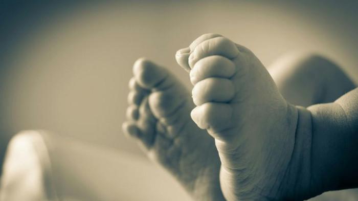 6 Peristiwa Terpopuler Kalbar! Kronologi 58 Jemaat Gereja Stella Maris ...