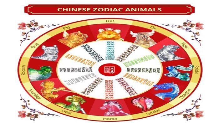 Inilah Shio Paling Cerdas dan Nasibnya di 2024 Tahun Naga Kayu Ramalan ...