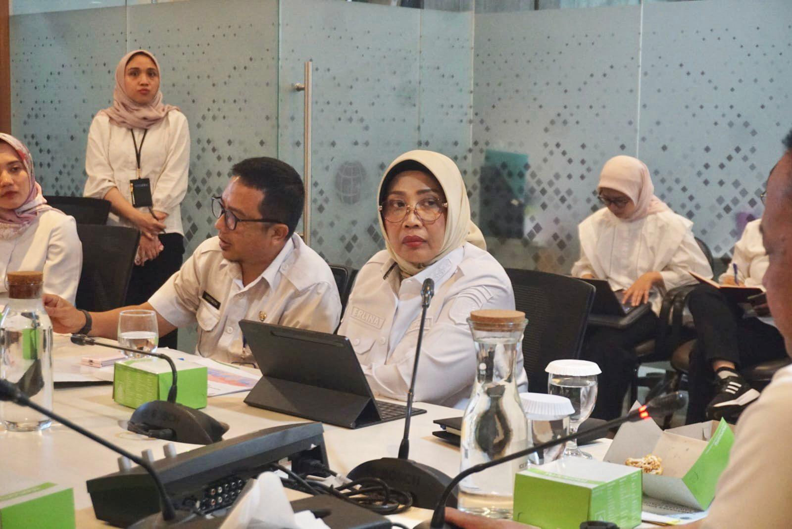 Jabat Ketum Aspeksindo, Erlina Perjuangkan Hak Kelola Tanah Timbul ...