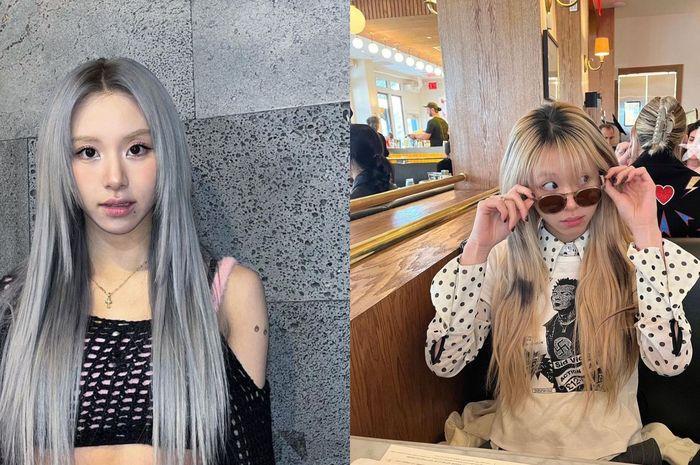 Ada Simbol 'Nazi' di Kaos Chaeyoung TWICE, hingga Permintaan Maaf yang ...