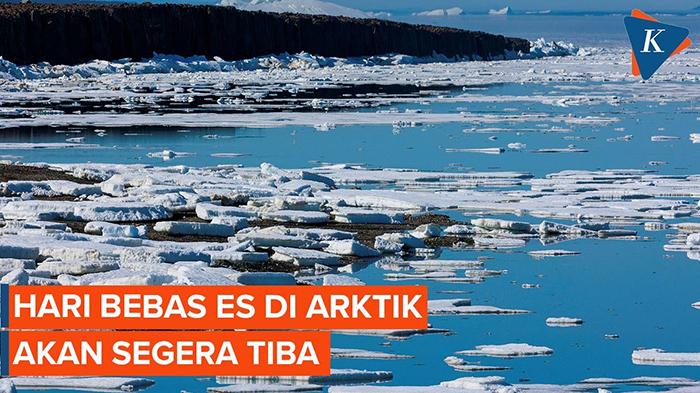 Es Arktik Mencair, Tulang Paus Purba Ribuan Tahun Muncul dan Ungkap ...