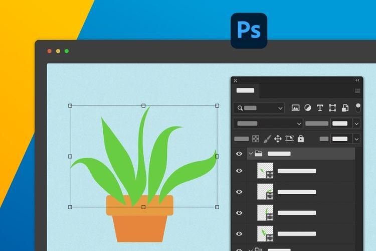 Hobi Desain Grafis? Berikut Ini Penjelasan Fungsi Dari Grafik Vector ...