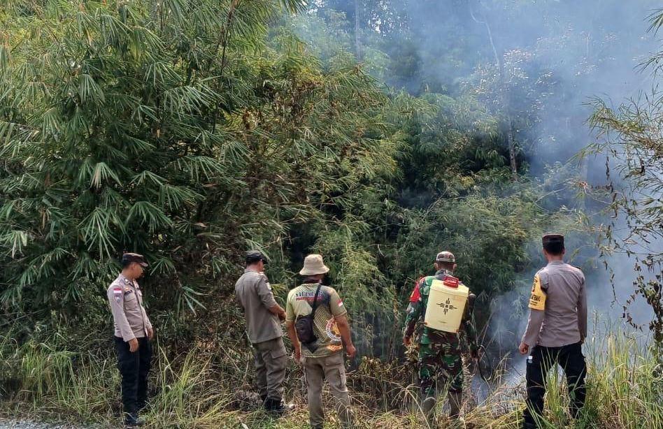 Langkah Cepat untuk Pastikan Kondisi Lapangan, Tim Gabungan Verifikasi ...