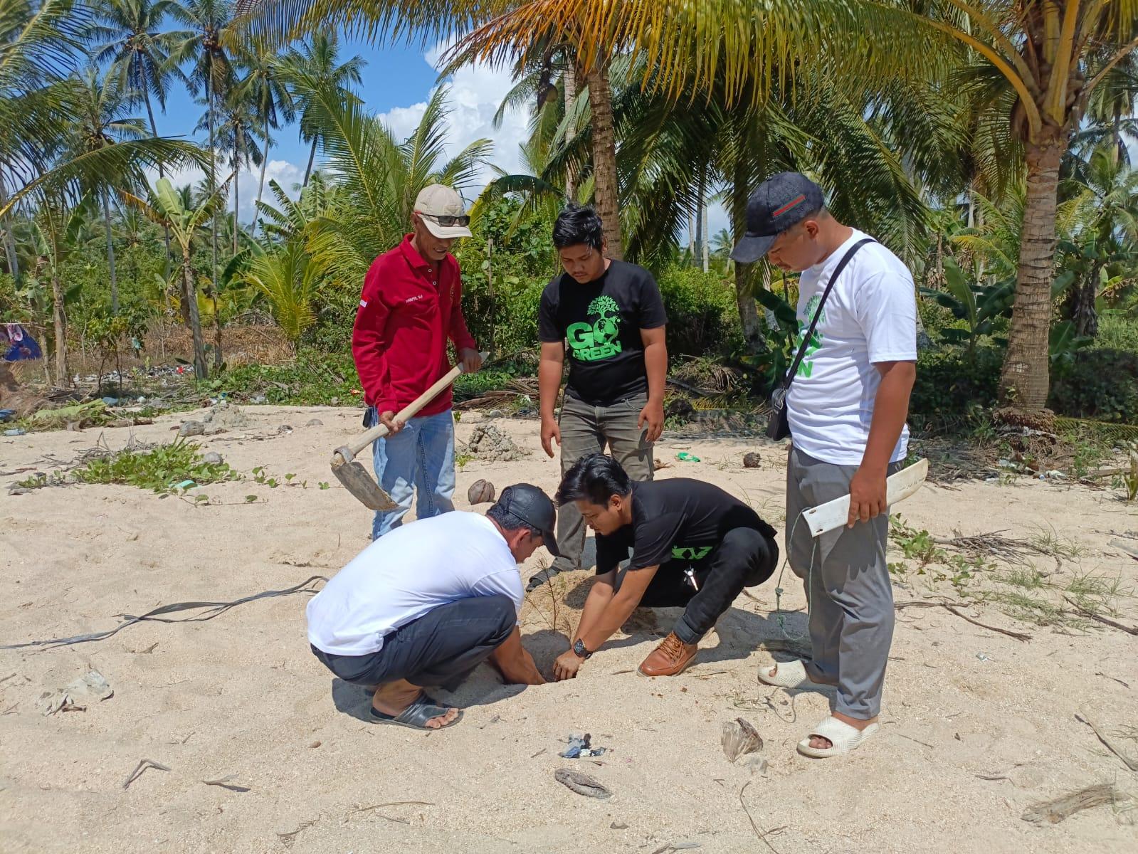 Aliansi Mahasiswa Tanam Pohon di Pantai Datok Buntar Sambas, Lestarikan ...