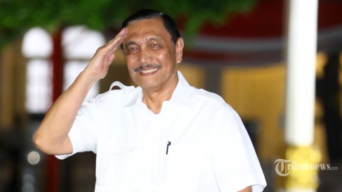 Reaksi Luhut Lihat Meme Dirinya Jadi Presiden hingga Menteri di Susunan ...