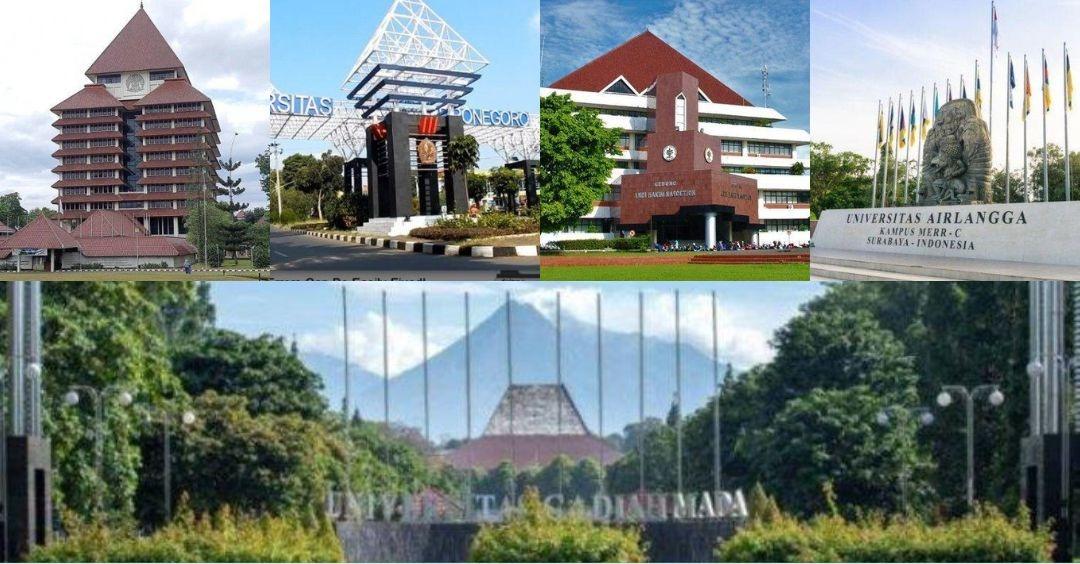 SNPMB 2025: Daftar Nilai Rata-rata UI, UNDIP, IPB, dan UGM, Berikut ...