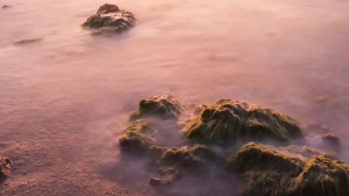Warna Danau Terbesar di Israel Berubah Jadi Merah, Pemukim Dilanda ...