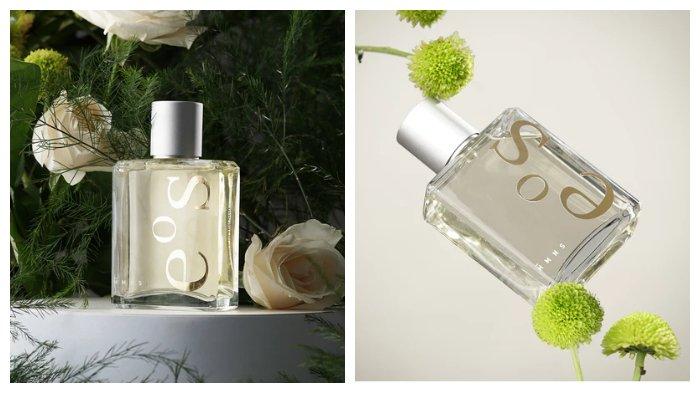 5 Rekomendasi Parfum HMNS Paling Ikonik: Wangi Mewah dan Tahan Lama ...