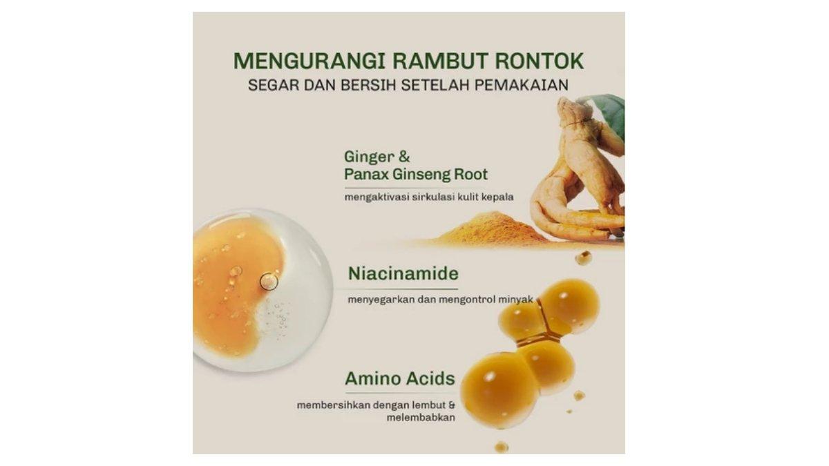 Review Lengkap Lavojoy Hold Me Tight Pro Shampoo: Solusi Cegah Rambut ...
