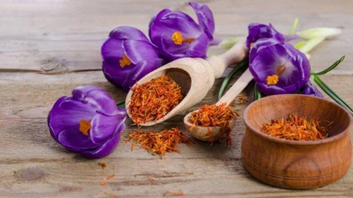 Saffron, Bunga Mahal yang Punya Banyak Manfaat untuk Menunjang ...