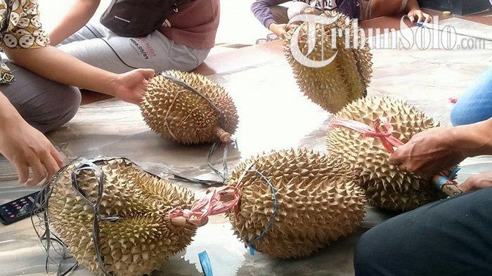 Asal-usul Nama Kecamatan Puhpelem Wonogiri : dari Pohon Mangga yang ...