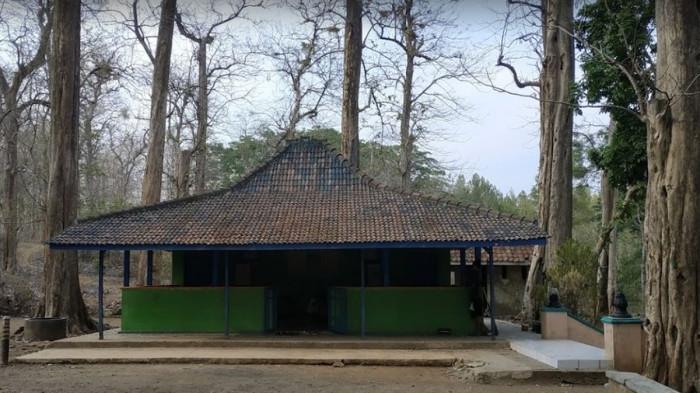 Asal-usul Desa Watusomo Slogohimo, Jejak Sunan Kalijaga dan Hutan Jati ...
