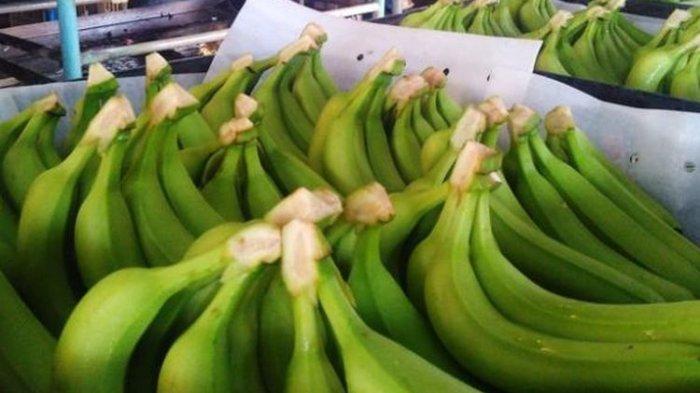 10 Ide Makanan Berbahan Dasar Pisang, Cocok untuk Bisnis Kuliner di ...