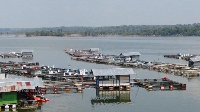 Info Tempat Healing Sejenak di Solo Raya, Bisa ke Waduk dengan ...