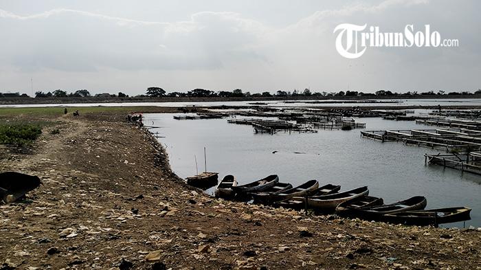 Musim Kemarau, Waduk Mulur Sukoharjo Mengering, Petani Keramba Merugi ...