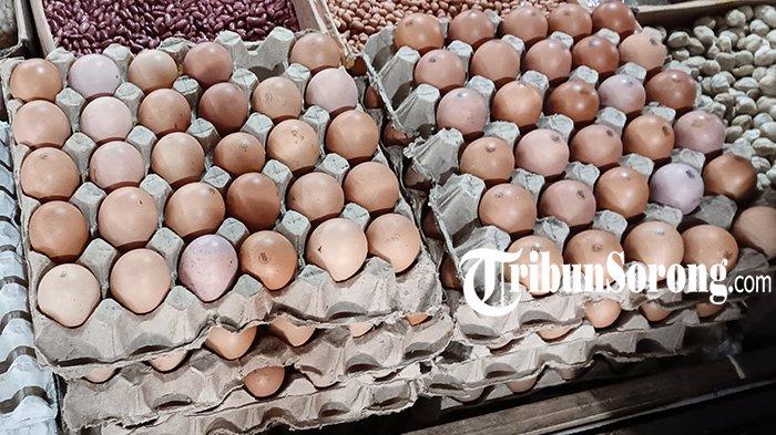 Harga Telur di Pasar Warmon Kabupaten Sorong Sempat Turun, Pedagang Harap Terus Stabil ...